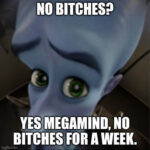 30 Megamind Memes That are Hilarious and Relatable | Inspirationfeed