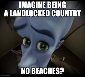 30 Megamind Memes That are Hilarious and Relatable | Inspirationfeed