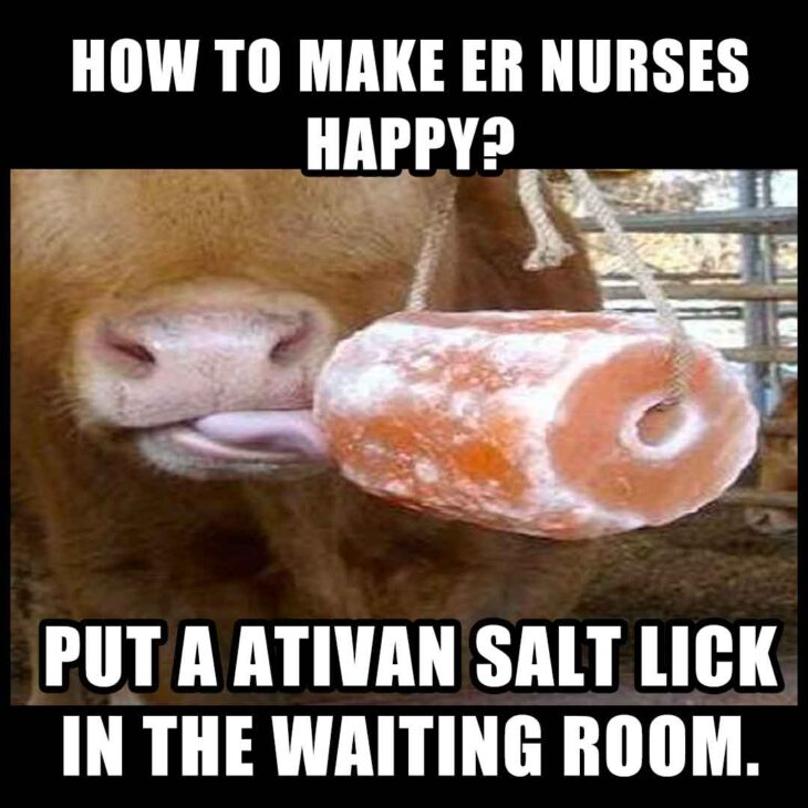 95+ Hilarious Nurse Memes That Will Have You in 'Stitches ...