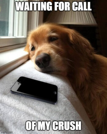 40+ Waiting Memes That Will Make Time Fly | Inspirationfeed