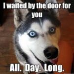 40+ Waiting Memes That Will Make Time Fly | Inspirationfeed