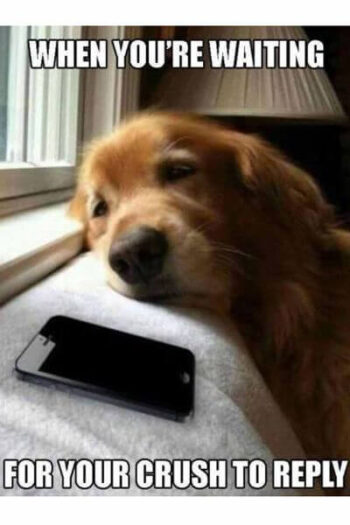 40+ Waiting Memes That Will Make Time Fly | Inspirationfeed