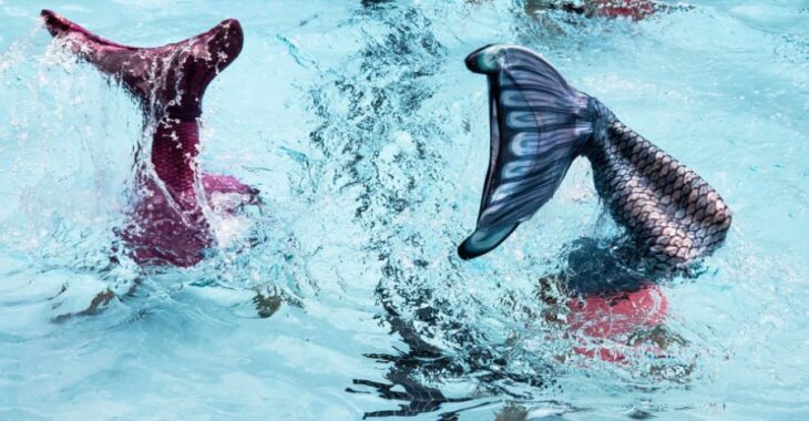 Are Mermaids Real? Dive Into the History | Inspirationfeed