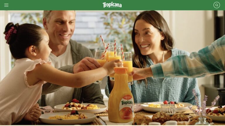 15 Brands and Companies Owned by PepsiCo | Inspirationfeed