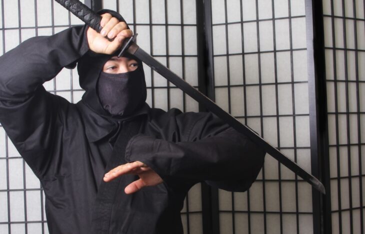 50+ Quotes About Ninjas: Discover Their Ways | Inspirationfeed