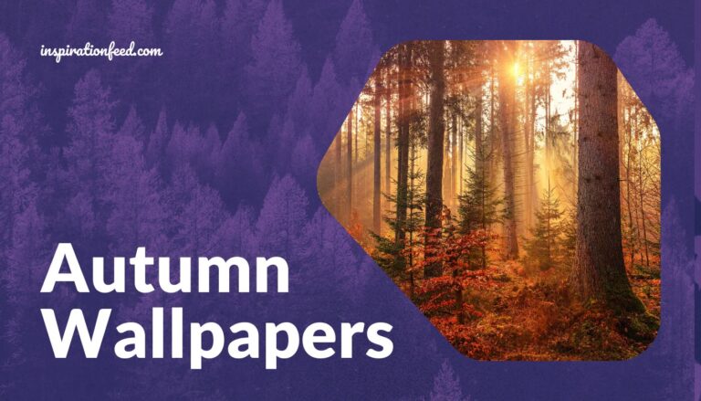 50 Fall Wallpapers to Celebrate the Season of Change | Inspirationfeed