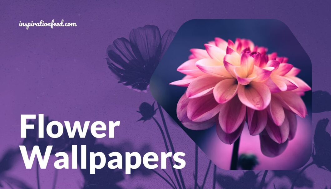 75 Gorgeous Flower Wallpapers You Will Fall in Love With | Inspirationfeed