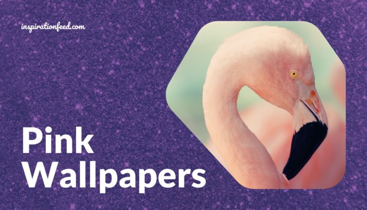 60 Free Pink Wallpapers and Images for Pink Lovers | Inspirationfeed