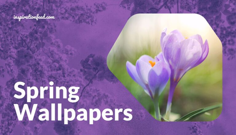 36 Gorgeous Spring Wallpapers To Brighten Your Day | Inspirationfeed