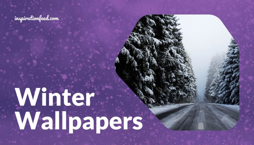 55 Beautiful Winter Wallpapers all About Snow, Frost, and Ice ...