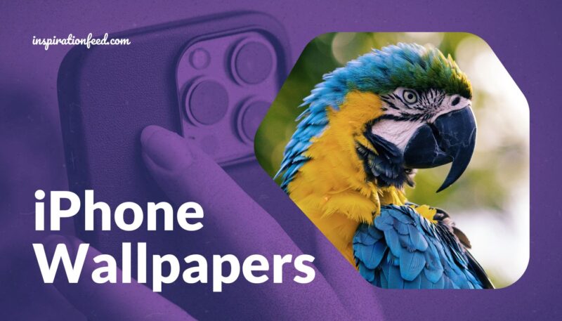 60 Stunning 4K Wallpapers for Your iPhone | Inspirationfeed