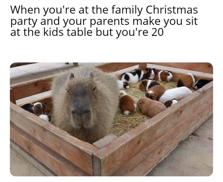 20 Capybara Memes To Make You Smile | Inspirationfeed