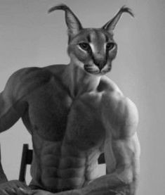 25 Giga Chad Memes That'll Straighten Up Your Life | Inspirationfeed