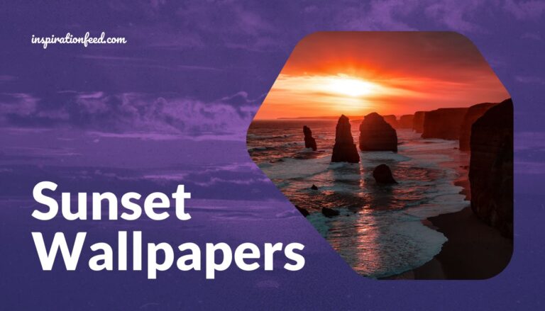 60 Amazing Sunset Wallpapers To Take Your Breath Away | Inspirationfeed