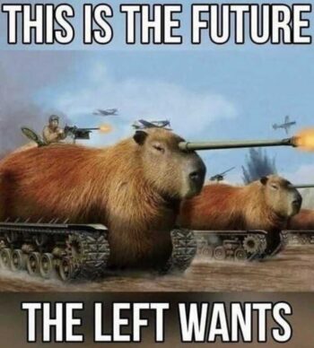 20 Capybara Memes To Make You Smile | Inspirationfeed