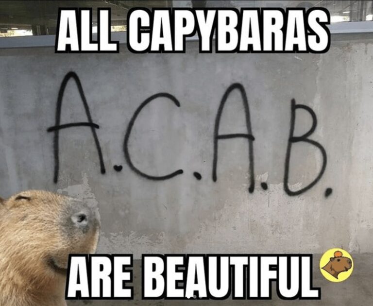 20 Capybara Memes To Make You Smile | Inspirationfeed