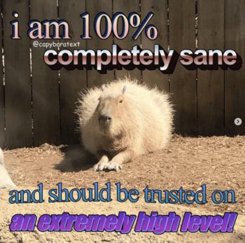 20 Capybara Memes To Make You Smile | Inspirationfeed