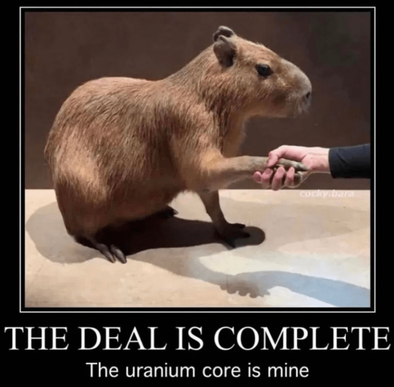 20 Capybara Memes To Make You Smile | Inspirationfeed