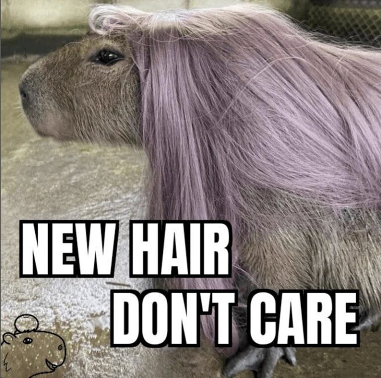 20 Capybara Memes To Make You Smile | Inspirationfeed