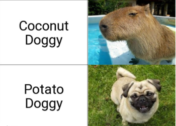 20 Capybara Memes To Make You Smile | Inspirationfeed