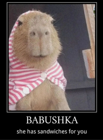 20 Capybara Memes To Make You Smile | Inspirationfeed