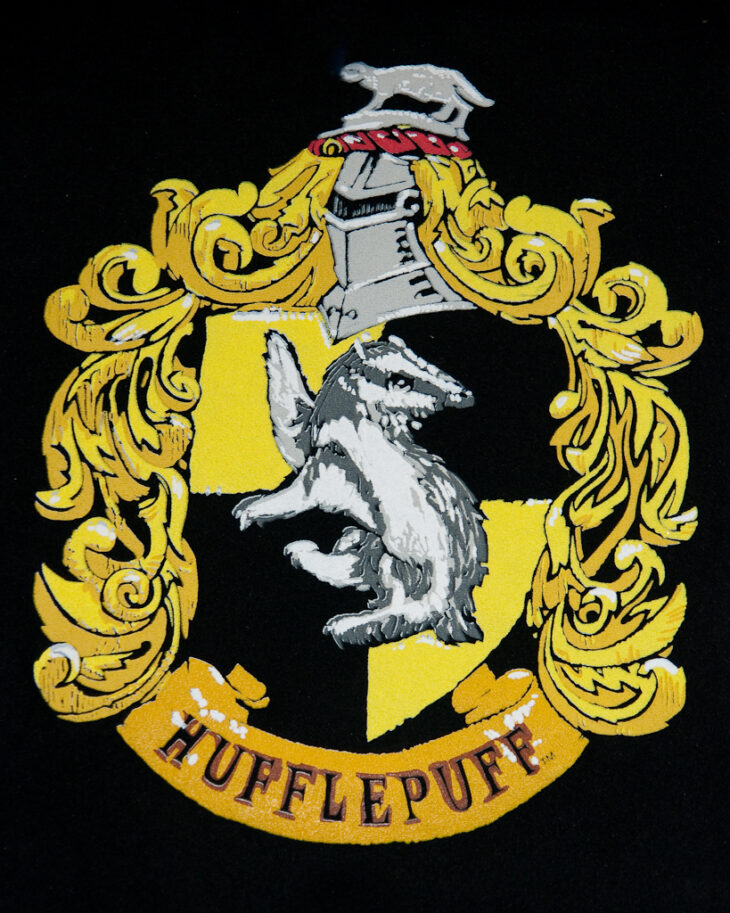 Are You a True Hufflepuff? Discover Their Hidden Traits! | Inspirationfeed