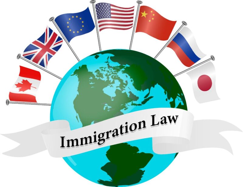 The Inspiring Journey of Ana Del Mar Morales Cotto in Immigration Law ...